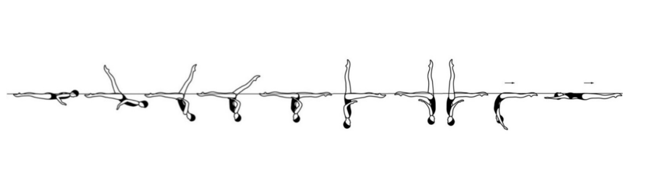 Technical Required Elements: Solo - Inside Synchro