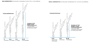 Understanding the Difficulty of Team Acrobatics - Inside Synchro