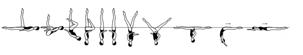 Technical Required Elements: Duet - Inside Synchro